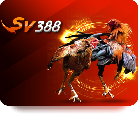 FAFA191 Exchange - Online Cricket Betting Betfair